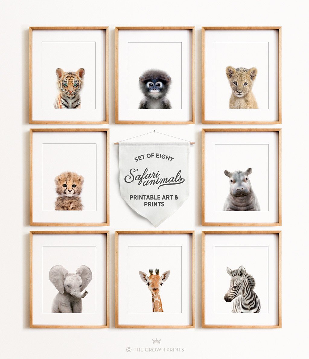 Safari Animal Prints - Set of 8 baby animals - Africa - Kadolog