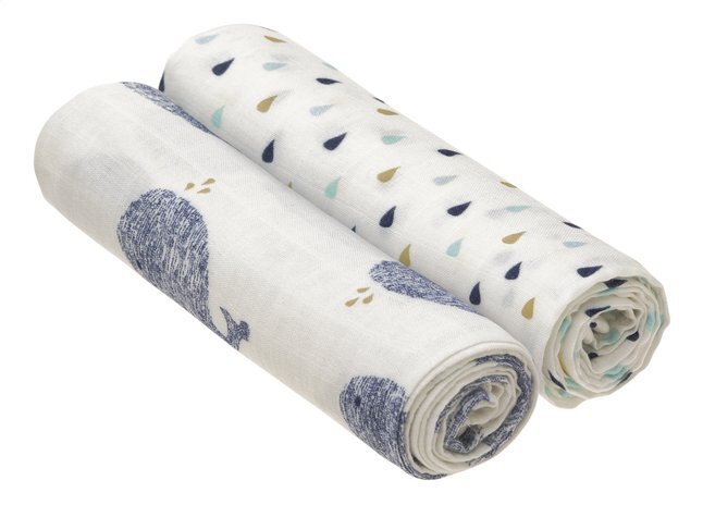 Drap tetra - Kadolog