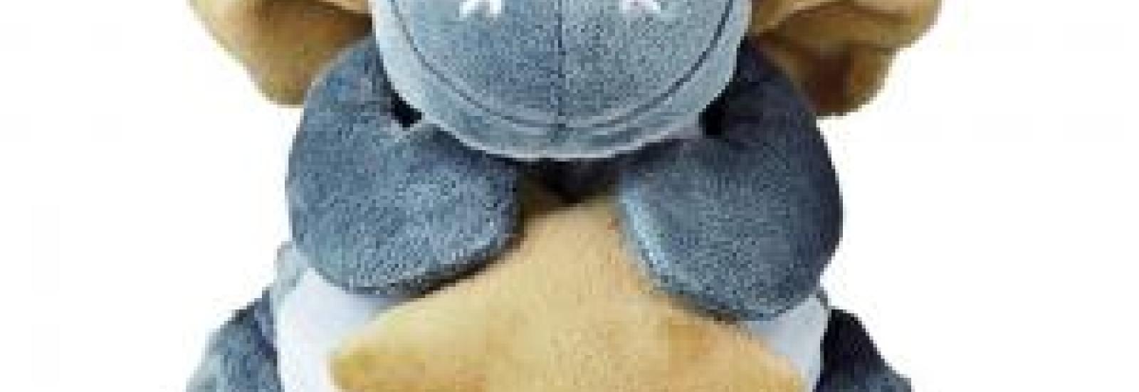 Liste de naissance de Nolan Boyer | Kadolog