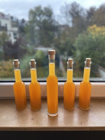 Our Projects | Kadolog