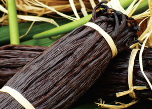 Visite d'une Vanilleraie typique de l'île de la Réunion! | Kadolog